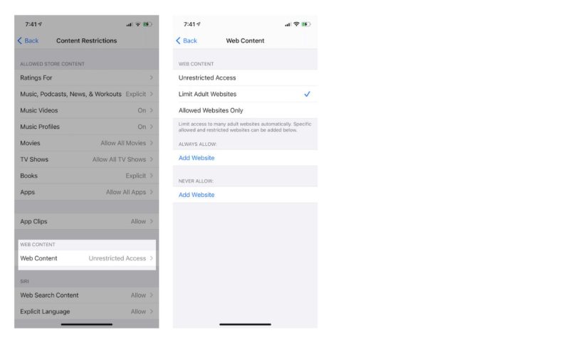 How to Block Porn on iPad for both Chrome and Safari? - Family Orbit Blog