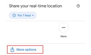 How To Send A Location Pin Via Text: 7 Easy Methods - Family Orbit Blog
