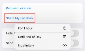 How To Send A Location Pin Via Text: 7 Easy Methods - Family Orbit Blog